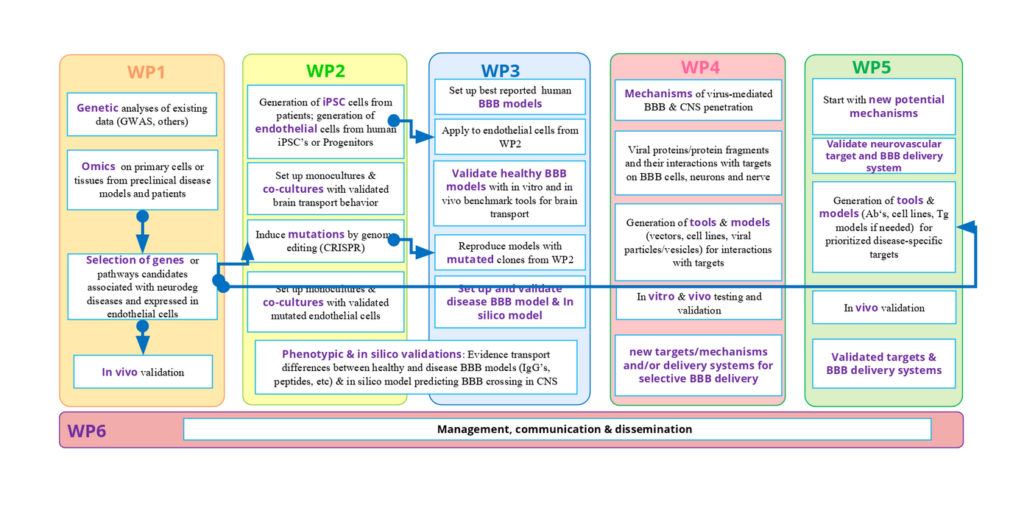 Im2pact Consortium - Work packages